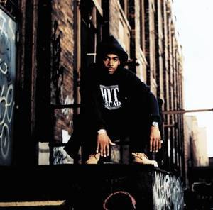 Pmd Vinyl Records and CDs For Sale | MusicStack