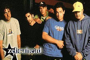 Zebrahead Vinyl Records and CDs For Sale | MusicStack