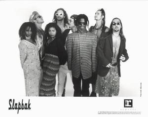 Slapbak Vinyl Records and CDs For Sale | MusicStack