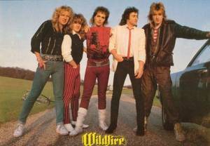 Wildfire Vinyl Records and CDs For Sale | MusicStack