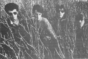 Gamine Vinyl Records and CDs For Sale | MusicStack