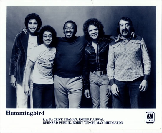 Hummingbird Hummingbird Vinyl Records and CDs For Sale | MusicStack