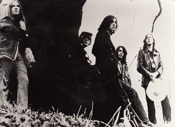 Cochise Vinyl Records and CDs For Sale | MusicStack