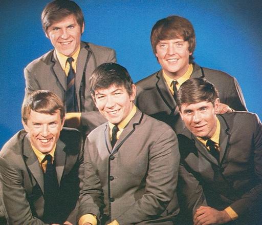 Animals Vinyl Records and CDs For Sale | MusicStack