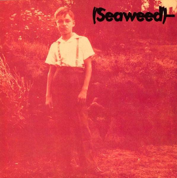 Seaweed Vinyl Records and CDs For Sale | MusicStack