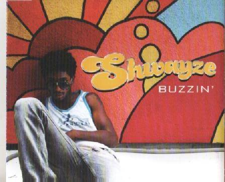 Shwayze Vinyl Records and CDs For Sale | MusicStack