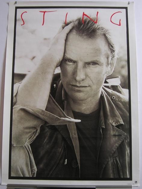 Sting Sting Vinyl Records and CDs For Sale | MusicStack