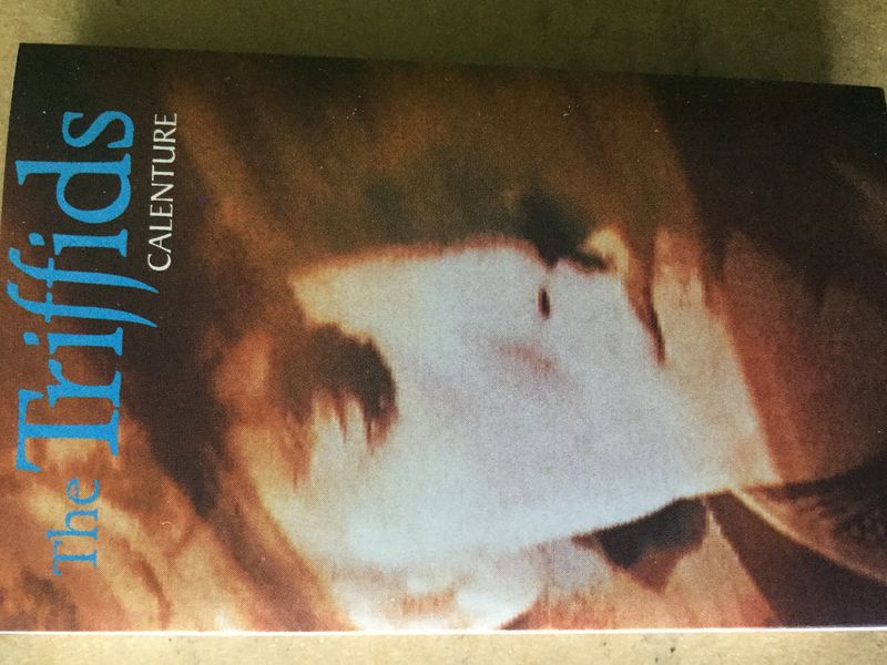 Triffids Calenture Vinyl Records and CDs For Sale | MusicStack