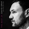 David Gray Vinyl Records and CDs For Sale | MusicStack