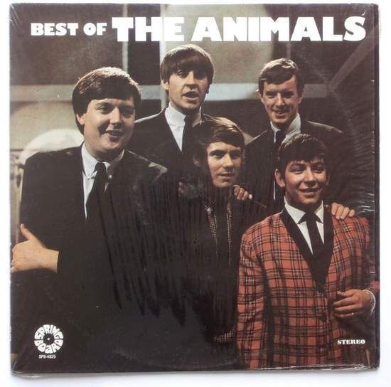 Animals Vinyl Records and CDs For Sale | MusicStack