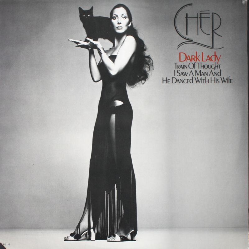 Cher Dark Lady Vinyl Records and CDs For Sale | MusicStack