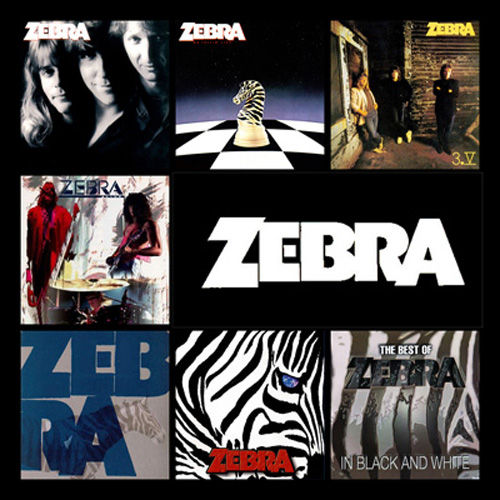 Zebra Vinyl Records and CDs For Sale | MusicStack