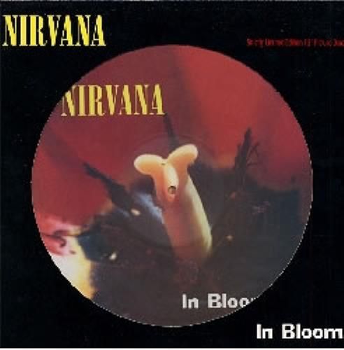 Nirvana In Bloom Vinyl Records and CDs For Sale | MusicStack
