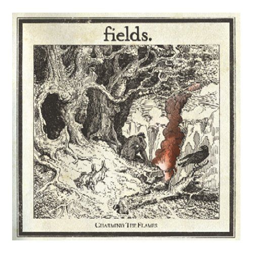 Fields Vinyl Records and CDs For Sale | MusicStack