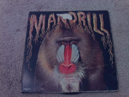 Mandrill Mandrill Vinyl Records and CDs For Sale | MusicStack