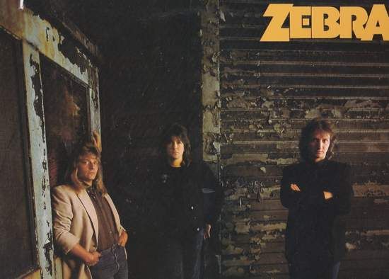 Zebra 3.v Vinyl Records and CDs For Sale | MusicStack